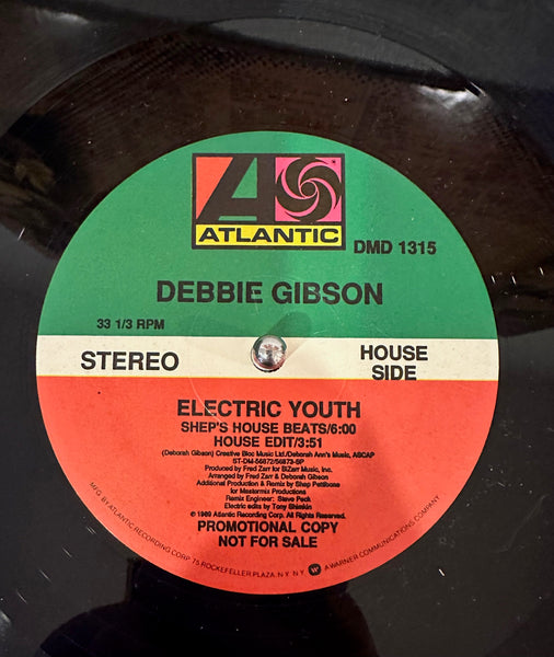 Debbie Gibson - Electric Youth - House Mixes 12" single LP Vinyl - Use ...