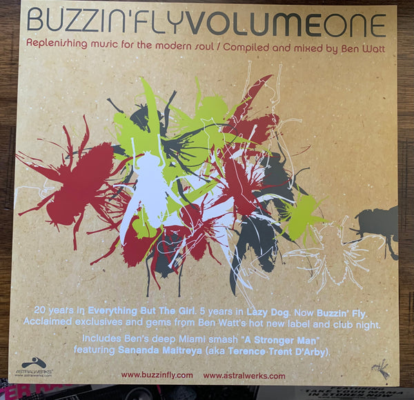Ben Watt (EBTG) - PROMO FLAT 12x12" -Buzzin' Fly vol.1 -Used ...